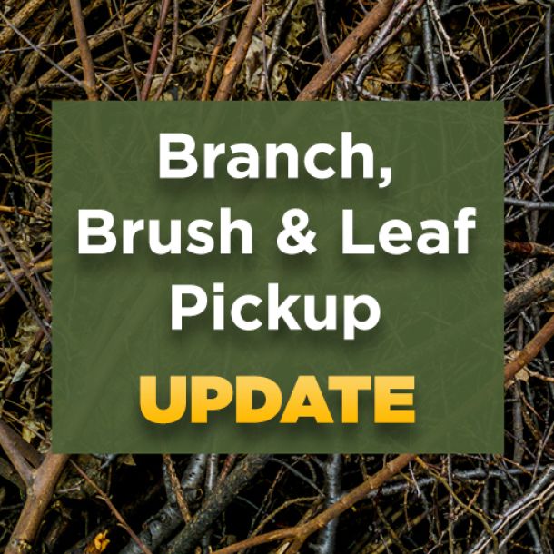 Leaf & Branch Pick-up - Town of Dyer